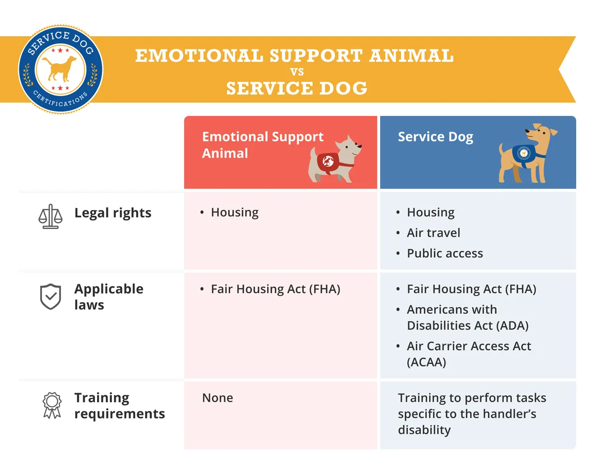 Ada Service Dog Laws 2024 - Erin Odessa Ada Service Dog Laws 2024 - Erin Odessa