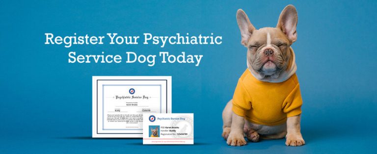 The Difference between a Psychiatric Service Dog and an Emotional ...