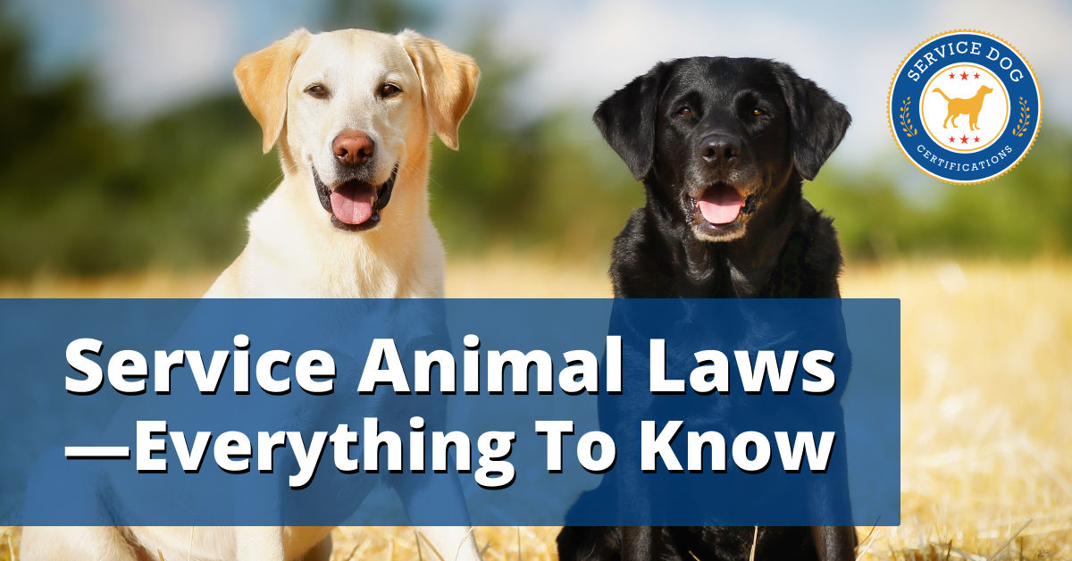 Service Animal Laws