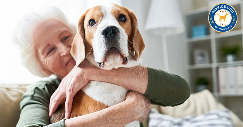 How To Get A Service Dog Service Dog Certifications