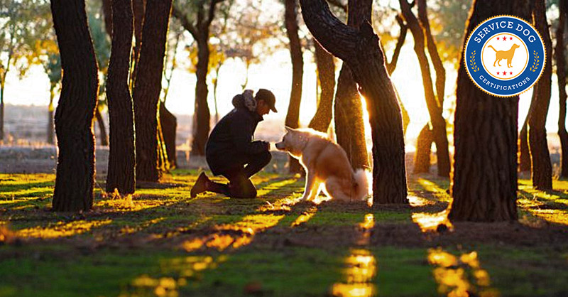 Service Dogs for PTSD - Service Dog Certifications