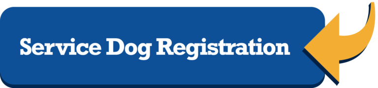 Can I Leave My Service Dog at Home?