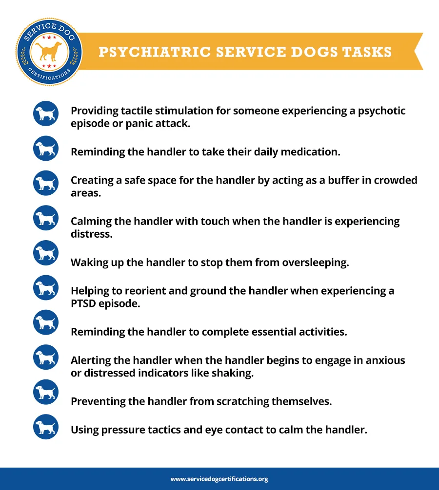 Five Different Types Of Service Dogs Service Dog Certifications