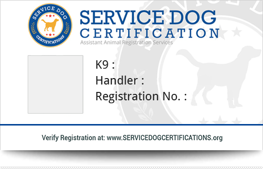 Service Dog Certification