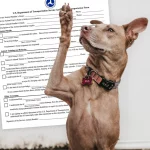 How to Use the DOT’s Service Animal Air Transportation Form to Board ...