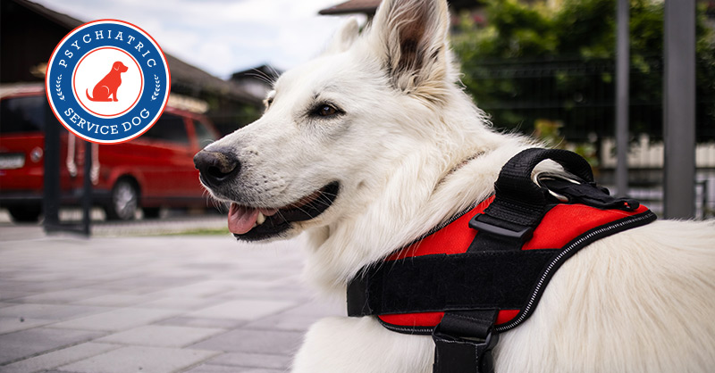 Emotional Support Animal Letter (ESA Letter) - Service Dog Certifications