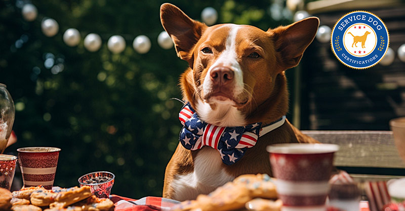 Fourth of July Pet Safety: What Can My Dog or Cat Eat?