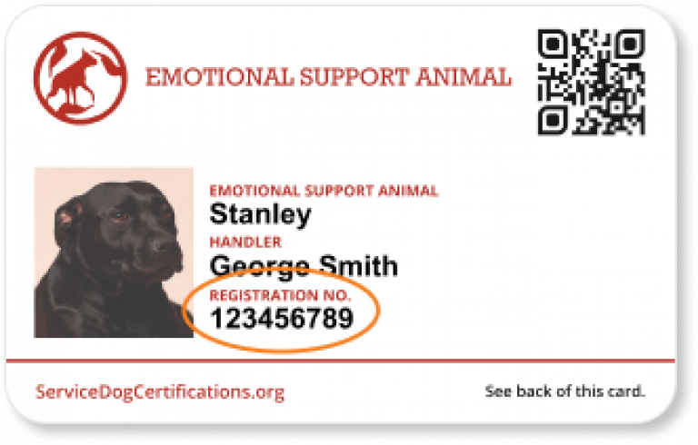 A guide to registering your pet as an ESA