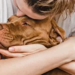 How to Train a Dog for Anxiety & Panic Attack Grounding