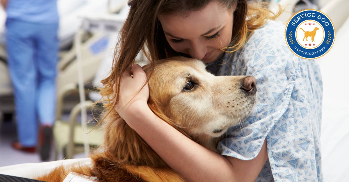 Service Dogs in Hospitals: Your Rights Explained