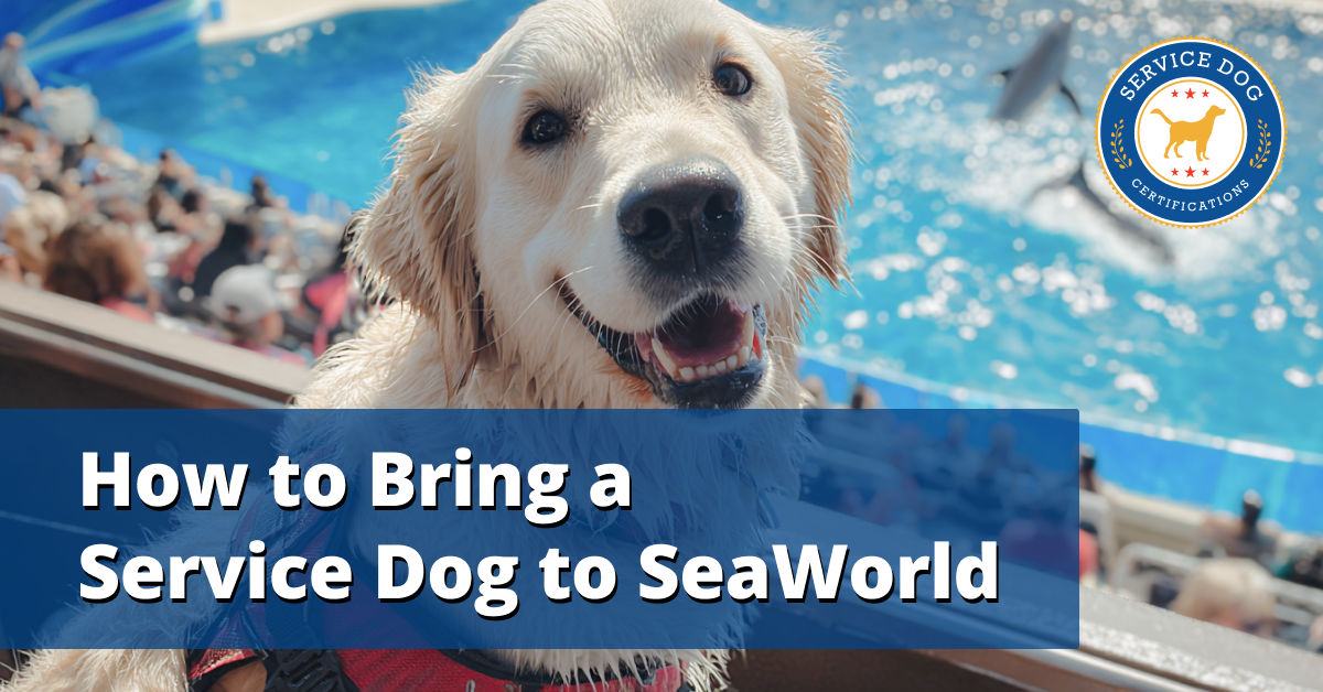 Guide to Bring a Service Dog to SeaWorld