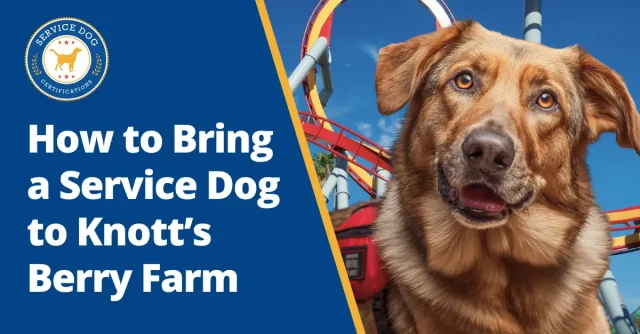 Knott’s Berry Farm Service Dog Rules