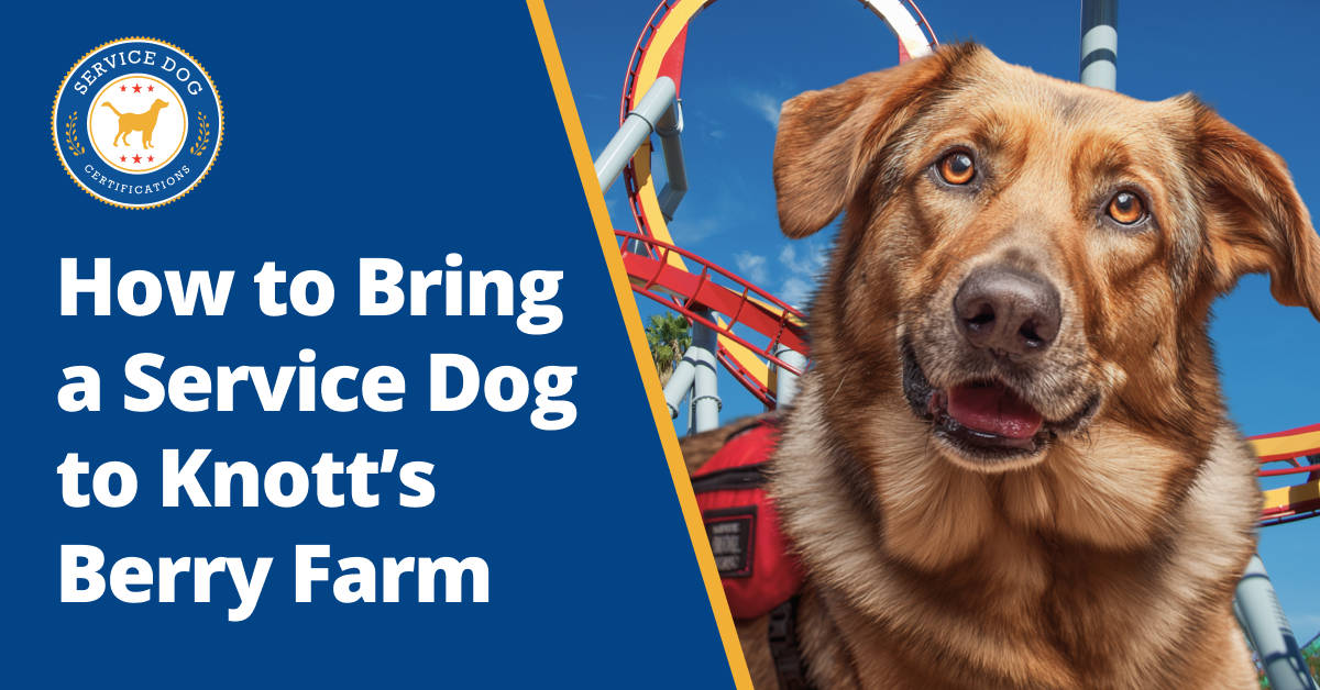 Knott’s Berry Farm Service Dog Rules